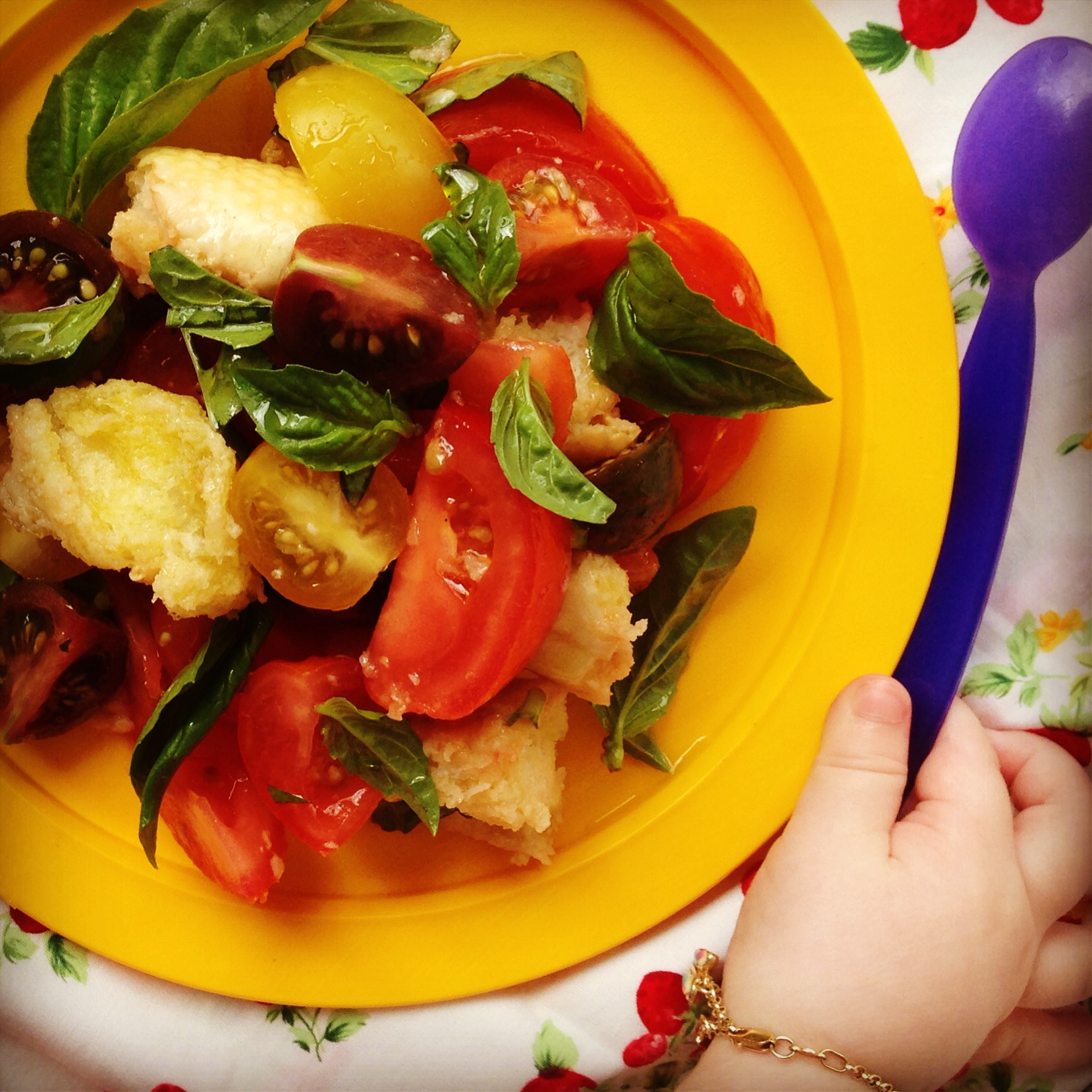 italian tomato & bread salad - my lovely little lunch box